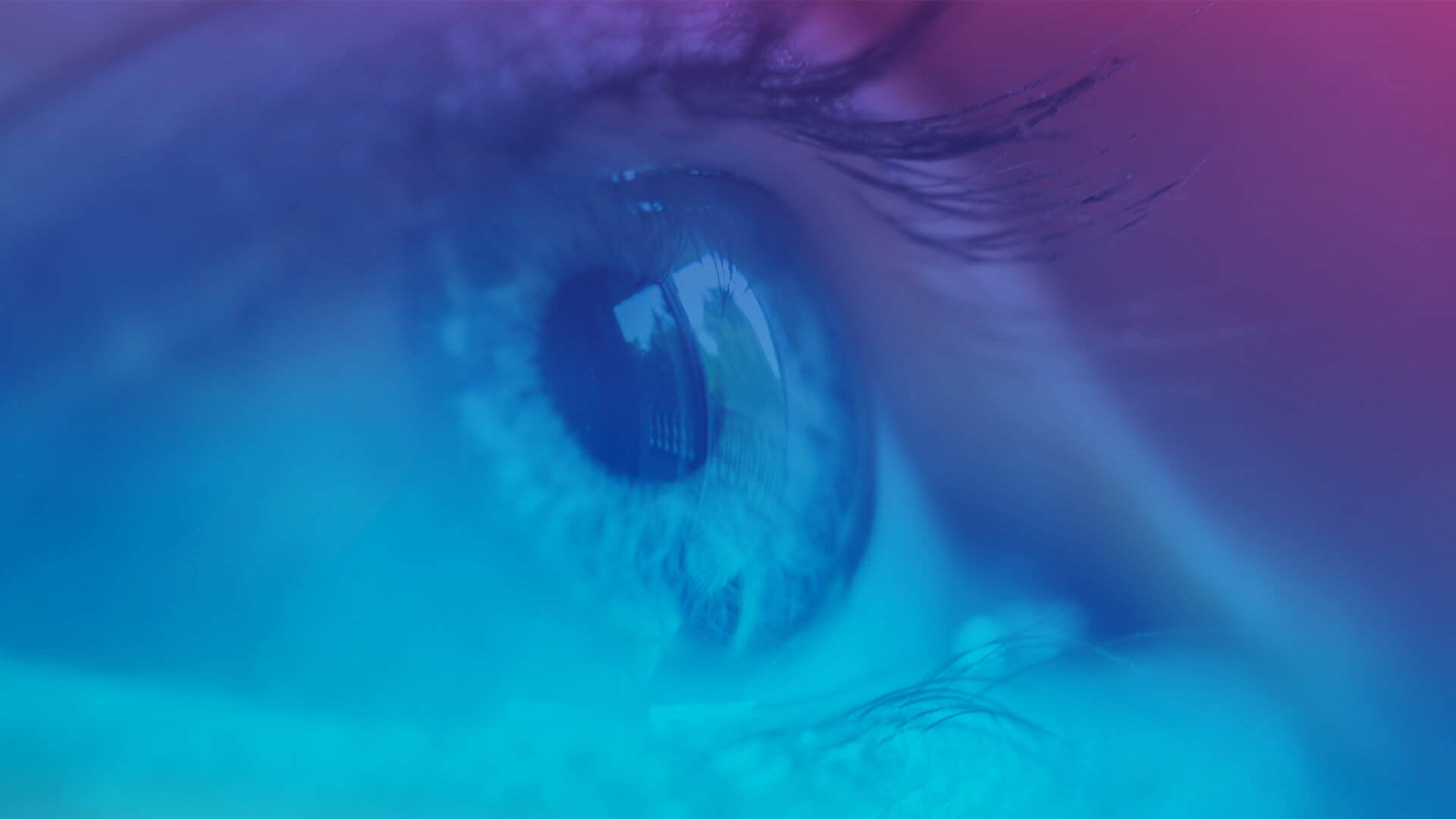 Dry Eye Spa | Treat Yourself To Some Eyedrotherapy™