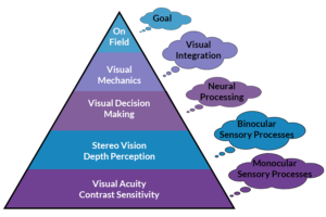 Visual Information Processing Paradigms - Dryeyespa