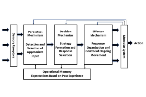 Visual Information Processing Paradigms - Dryeyespa